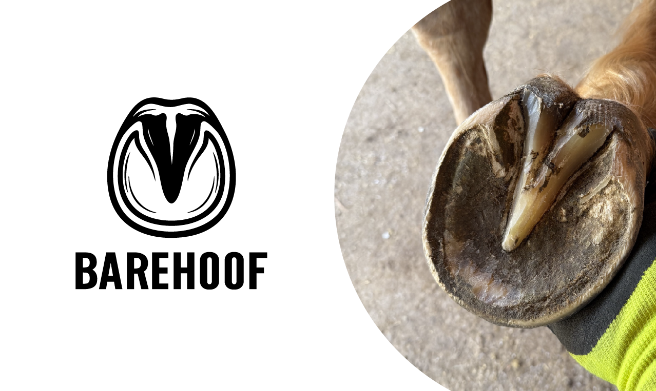 BAREHOOF - Přirozená péče bez podkov